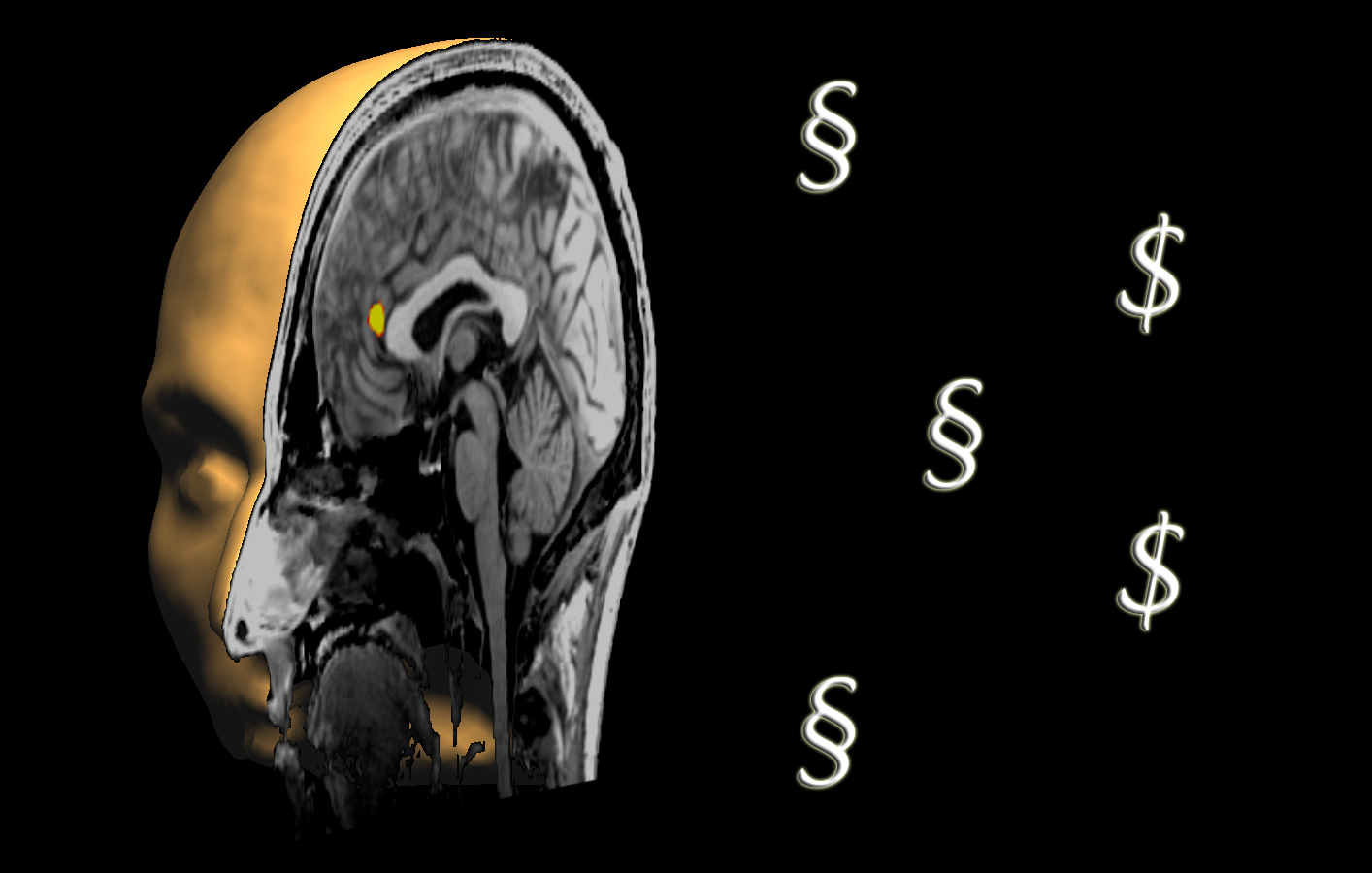 Psychology or Neuroscience? The case of forensics | Mindwise